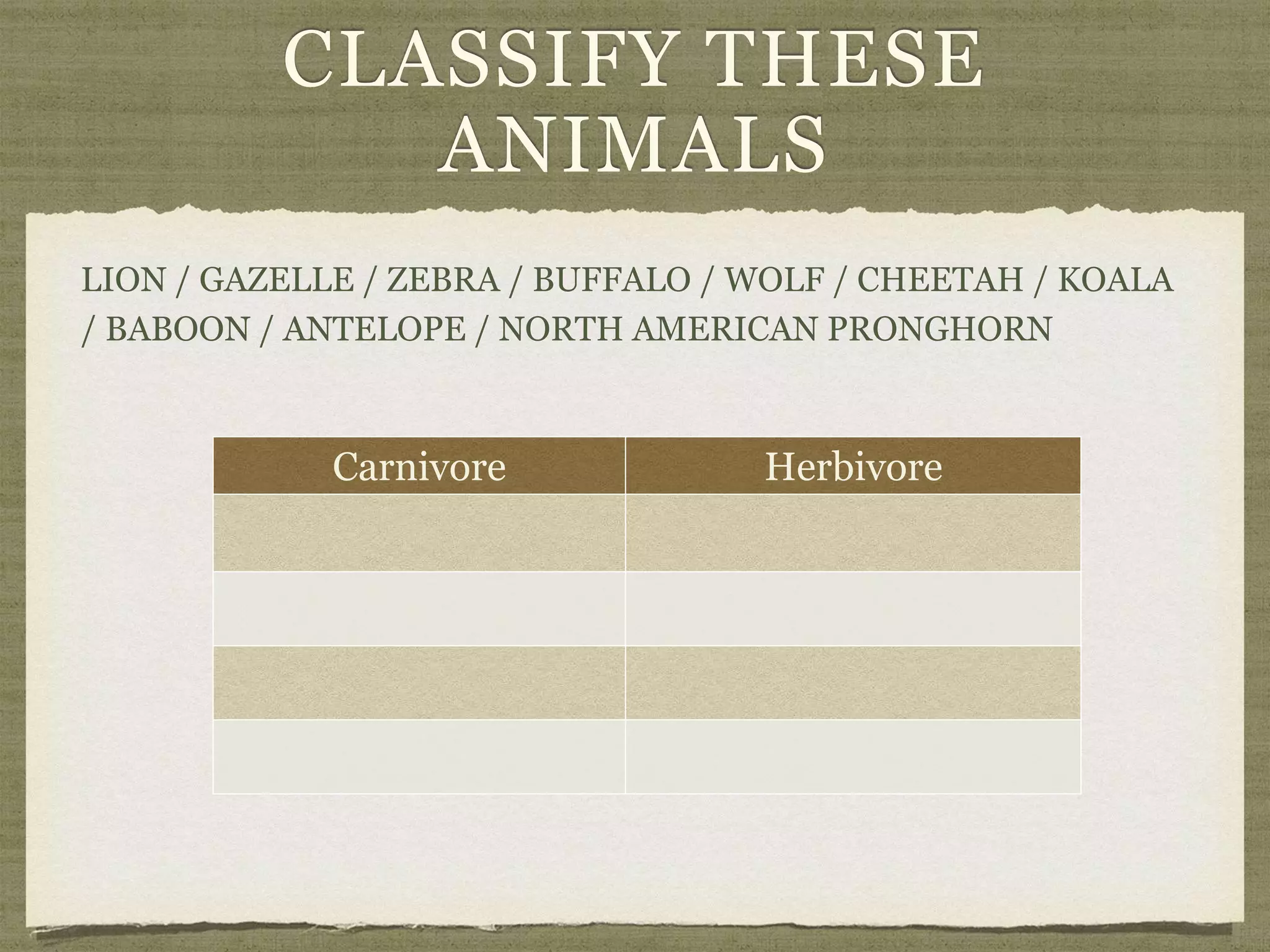 Carnivores vs herbivores | PPTX | Cats | Pets