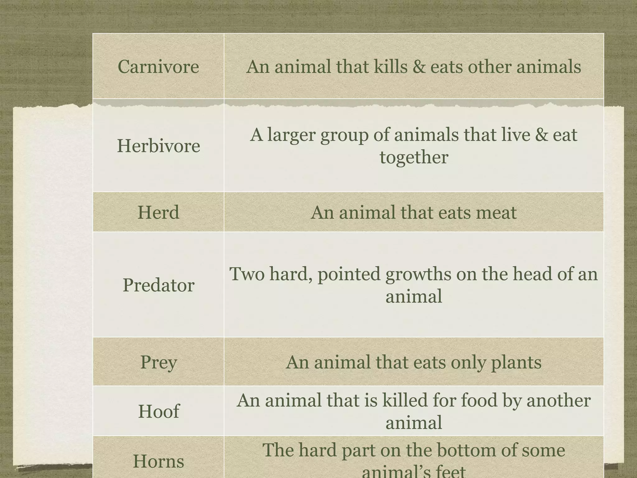Carnivores vs herbivores | PPTX | Cats | Pets
