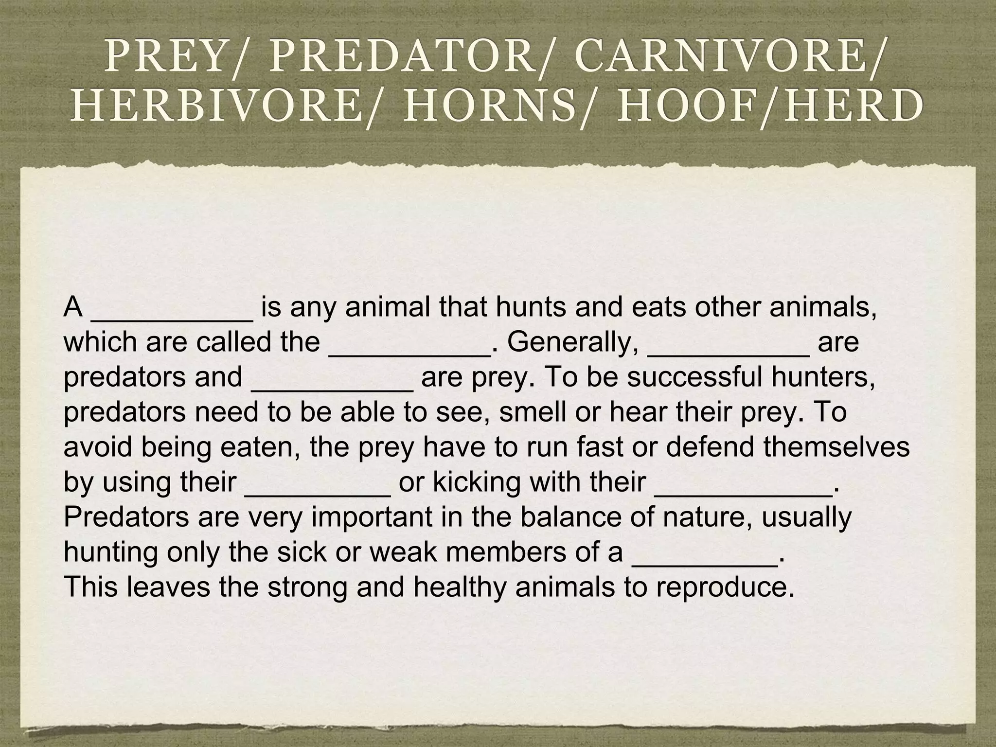 Carnivores vs herbivores | PPTX | Cats | Pets