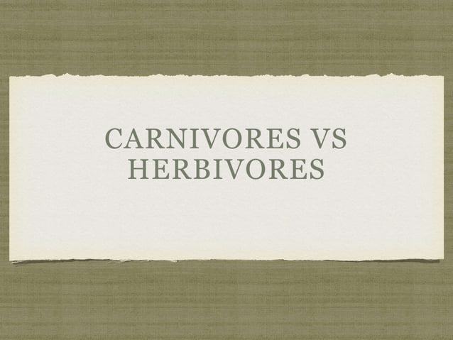 Carnivores vs herbivores | PPTX | Cats | Pets