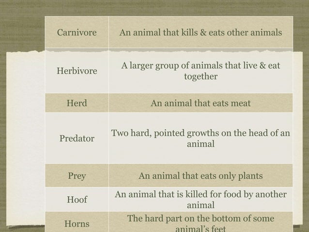 Carnivores vs herbivores | PPTX | Cats | Pets
