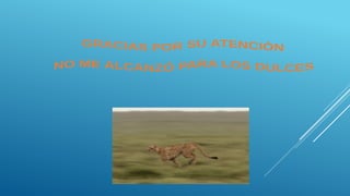 conociendo los animales carnivoros y su especie | PPTX