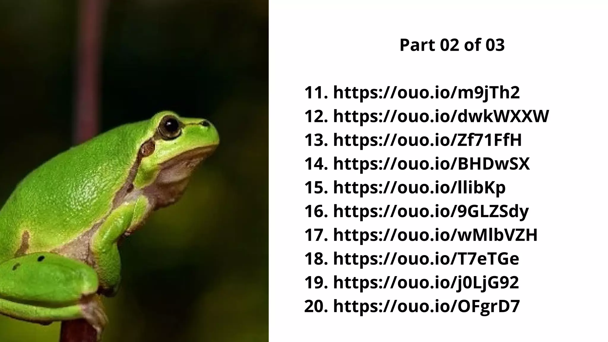 carnivorous frog.pdf