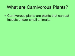 Carnivorous plant | PPT