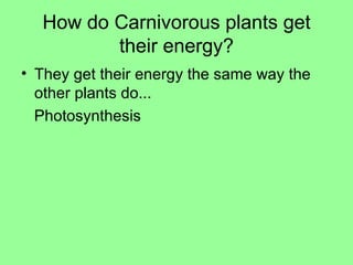 Carnivorous plant | PPT