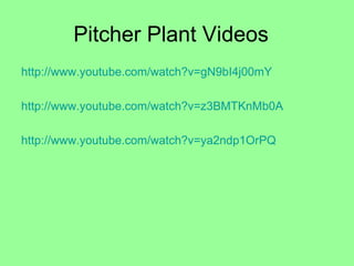 Carnivorous plant | PPT