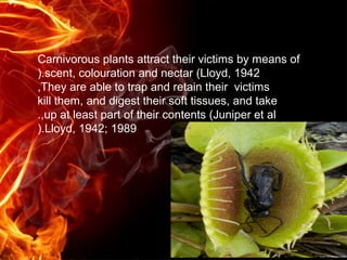 Carnivorous plant | PPT