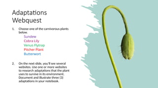 CarnivorousPlants22presentationlist.pptx