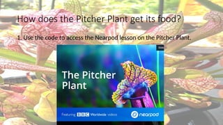 CarnivorousPlants22presentationlist.pptx