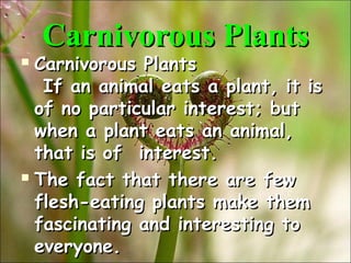 Insectivorous Plants | PPT