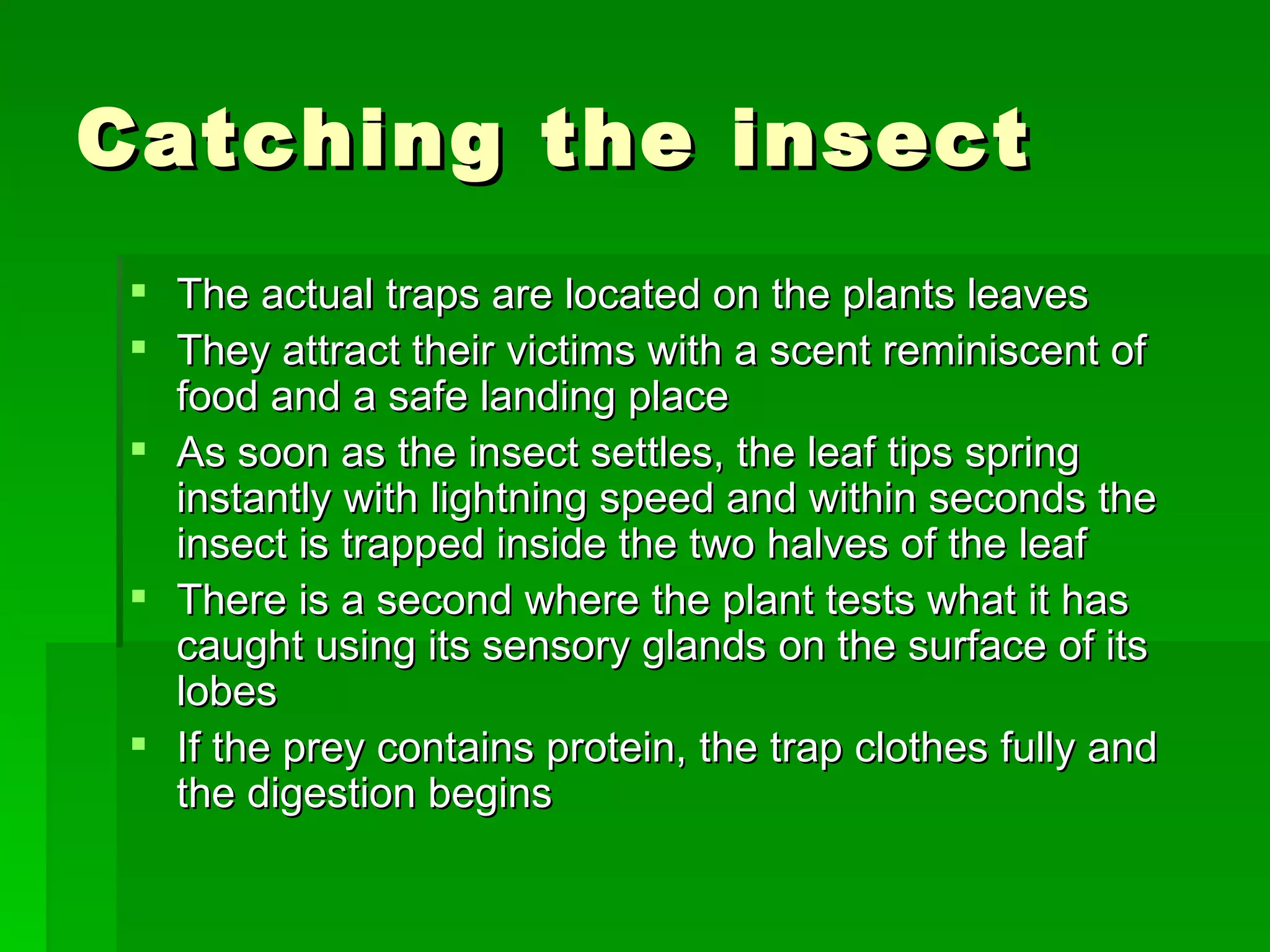 Carnivorous plants ppt | PPT