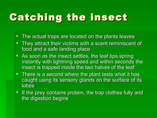 Carnivorous plants ppt | PPT