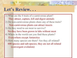 Carnivorous plants ppt les 3 | PPT