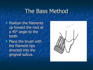 tooth brushing techniques | PPT
