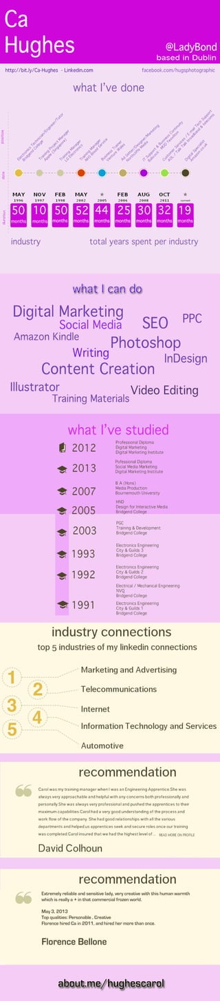 Carol Hughes Visual CV | PDF