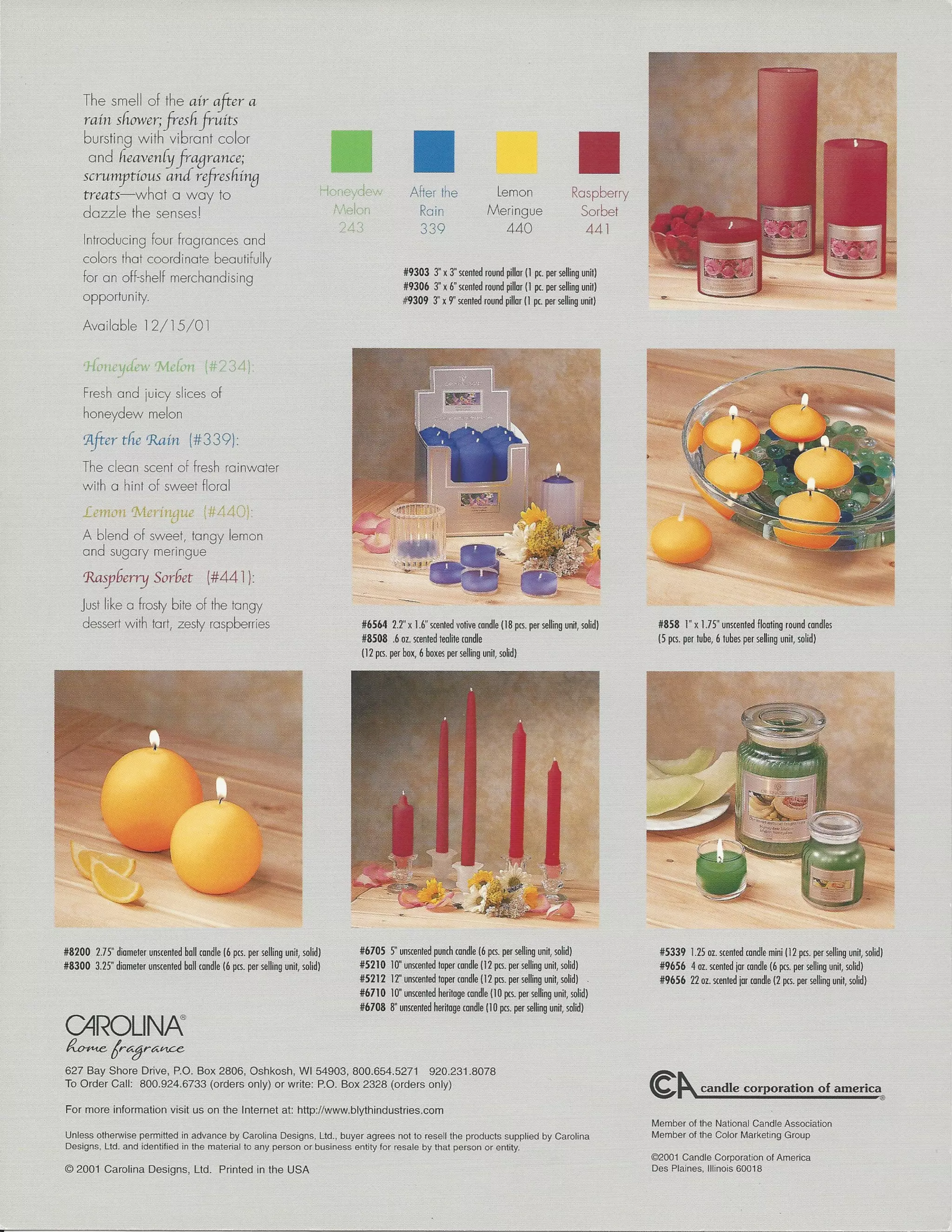 Carolina Designs Summer 2002 | PDF