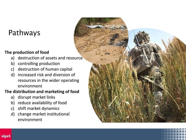 Caroline Delgado_War, Food Insecurity and Hunger.pptx