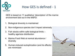 Celtic Seas Partnership- Caroline Salthouse | PPTX | Environmental ...