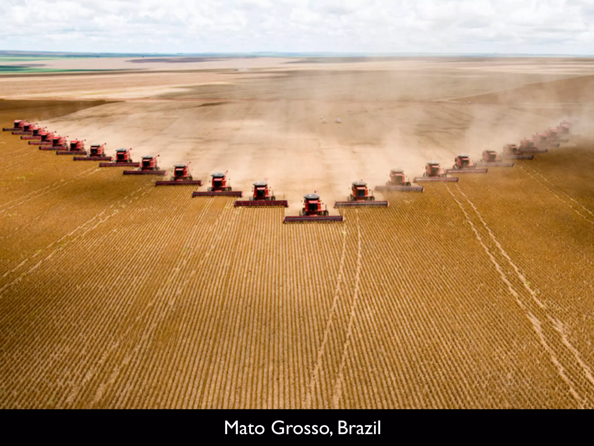 Carolyn Steel Sitopia | PDF