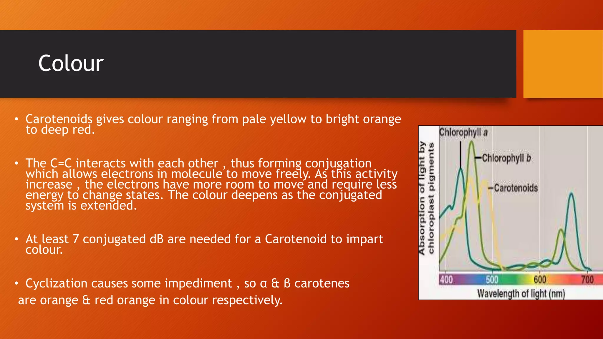 Carotenoids | PPTX
