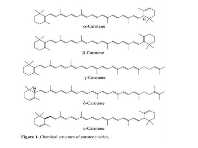 Carotenoids | PPTX