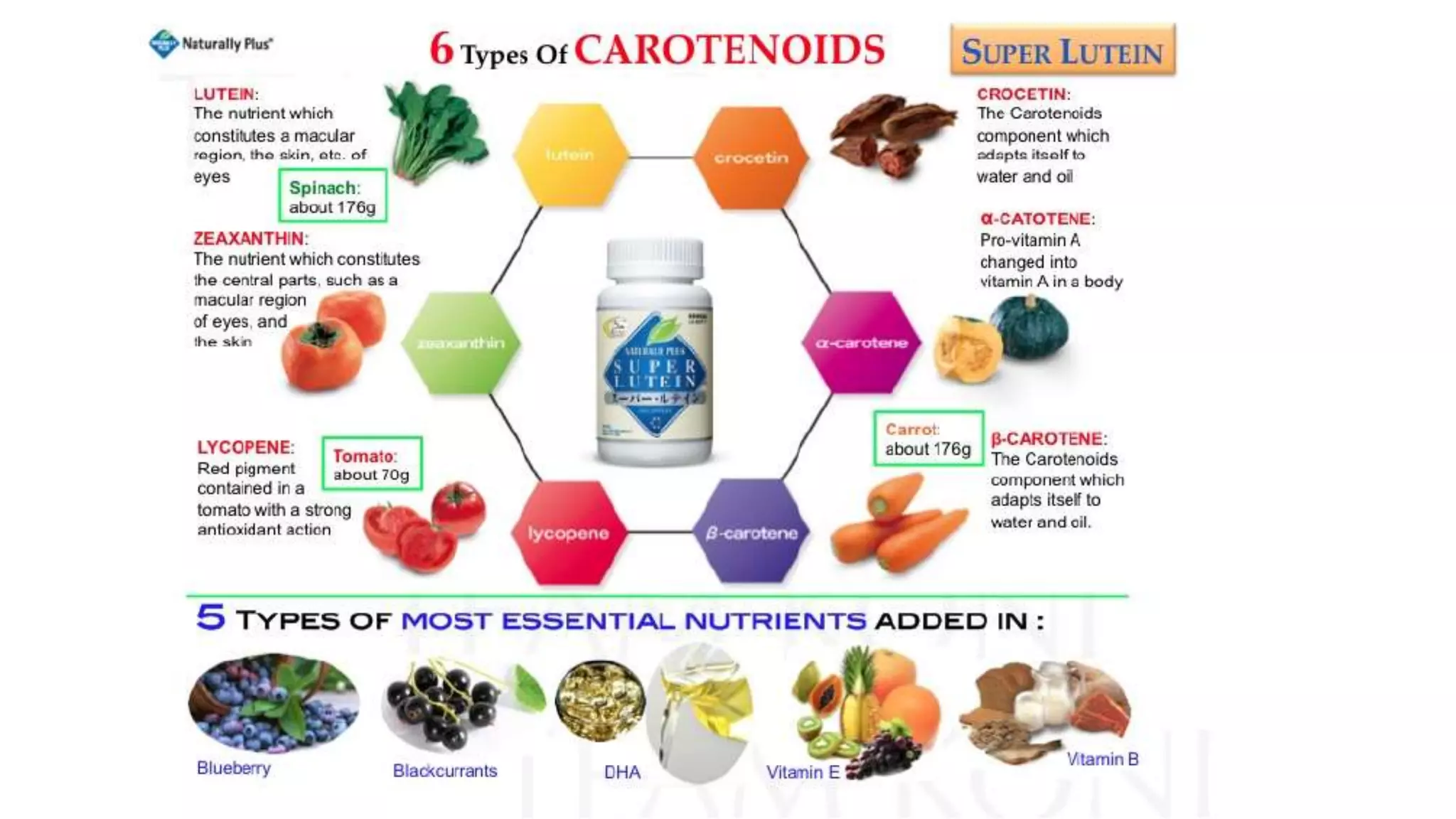 Carotenoids and its types Ppt SlideShare | PPTX