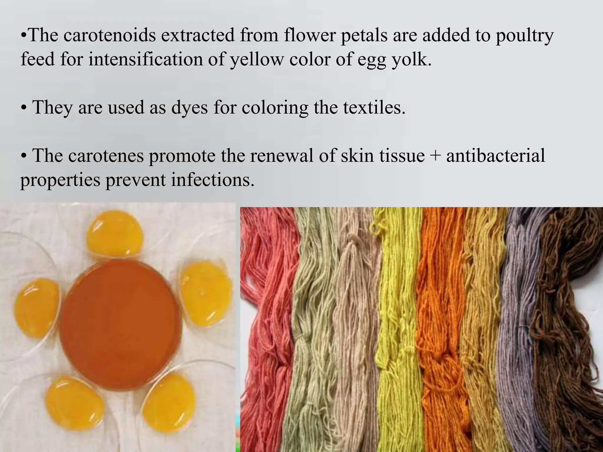 Carotenoids in flowers | PPTX