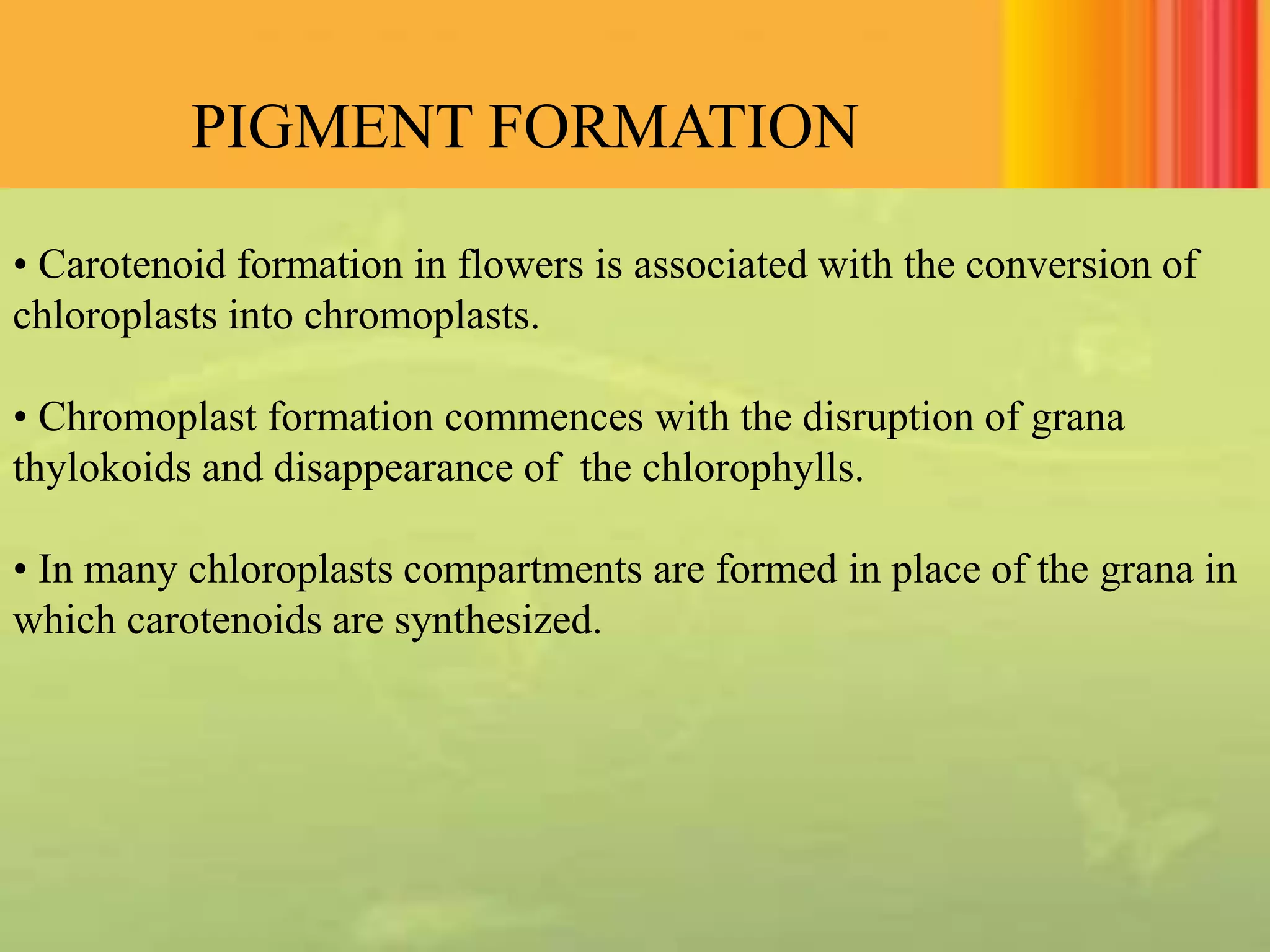 Carotenoids in flowers | PPTX