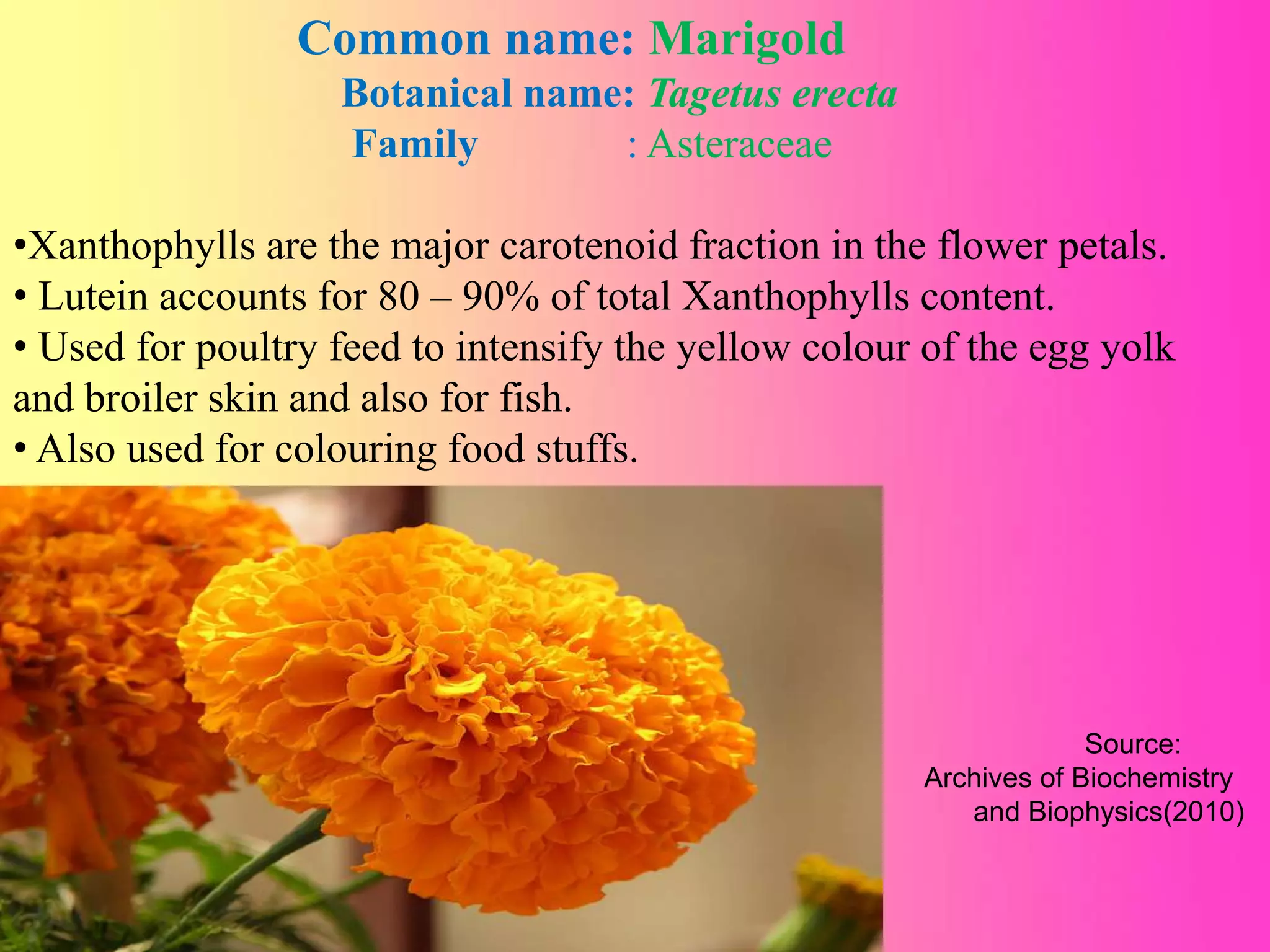 Carotenoids in flowers | PPTX