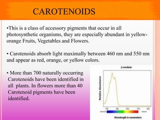 Carotenoids in flowers | PPTX