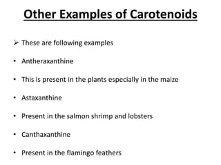 Carotenoids & Xanthophyll’s.pptx