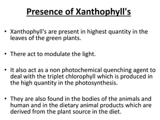 Carotenoids & Xanthophyll’s.pptx