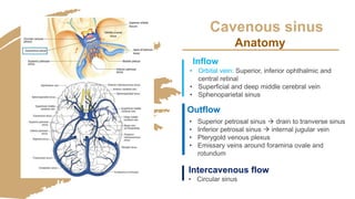 Caroticocavernous fistula HAKU | PPTX