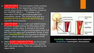 CAROTID ARTERY.pptx