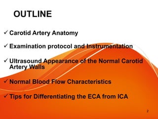 Carotid artery doppler study abdul | PDF