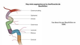 Anatomia de las arterias carotidas tanto int. como ext. | PPTX