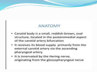 carotid body tumor.pptx