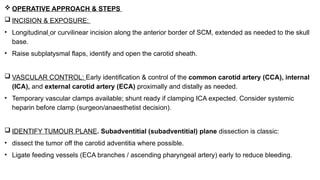 CAROTID BODY TUMOR Carotid body tumor ca | PPTX