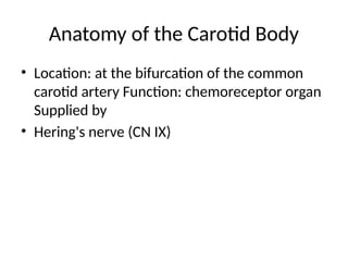 Carotid_Body_Tumors_and_Aneurysms_Presentation.pptx