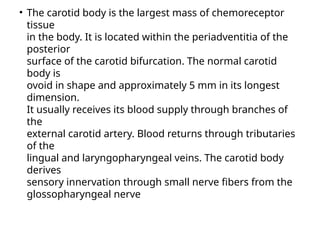 Carotid_Body_Tumors_and_Aneurysms_Presentation.pptx