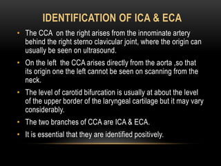 Carotid doppler Ultrasound | PPTX