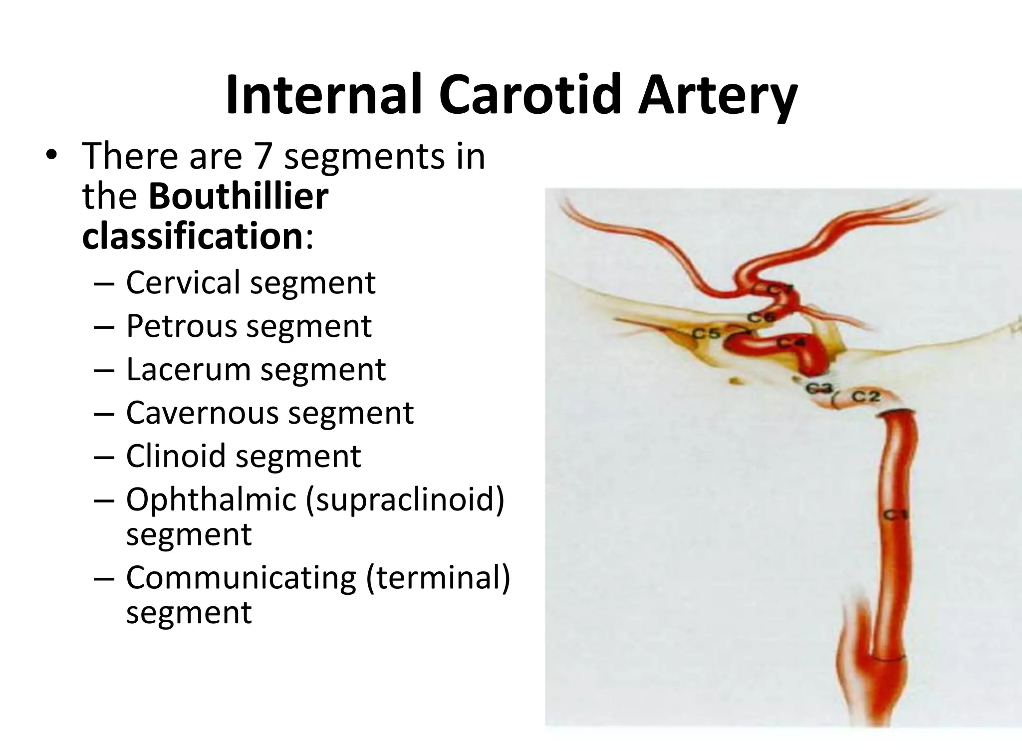 Carotid Doppler | PPT