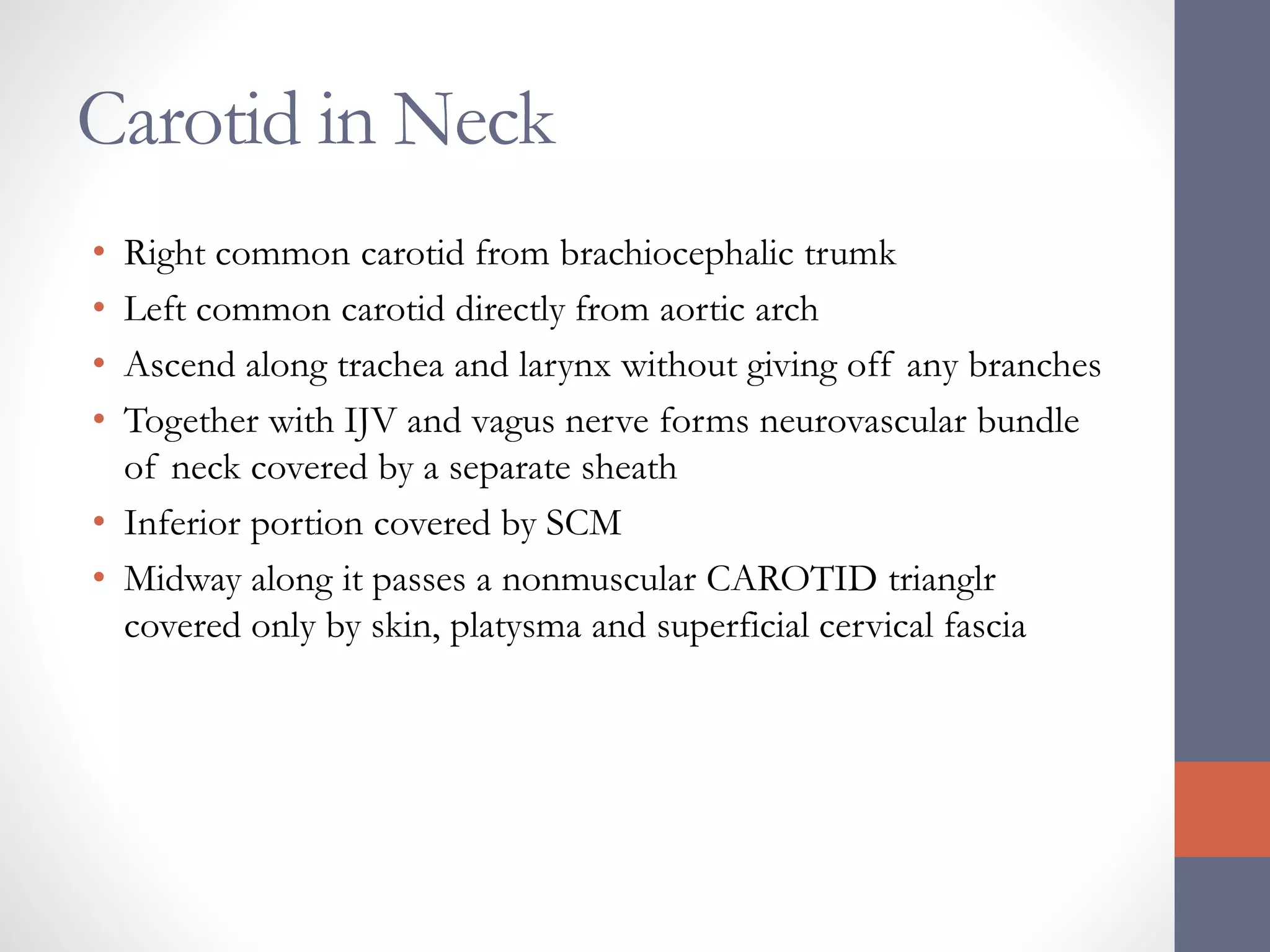 Carotid in neck , eca, ima & | PPTX