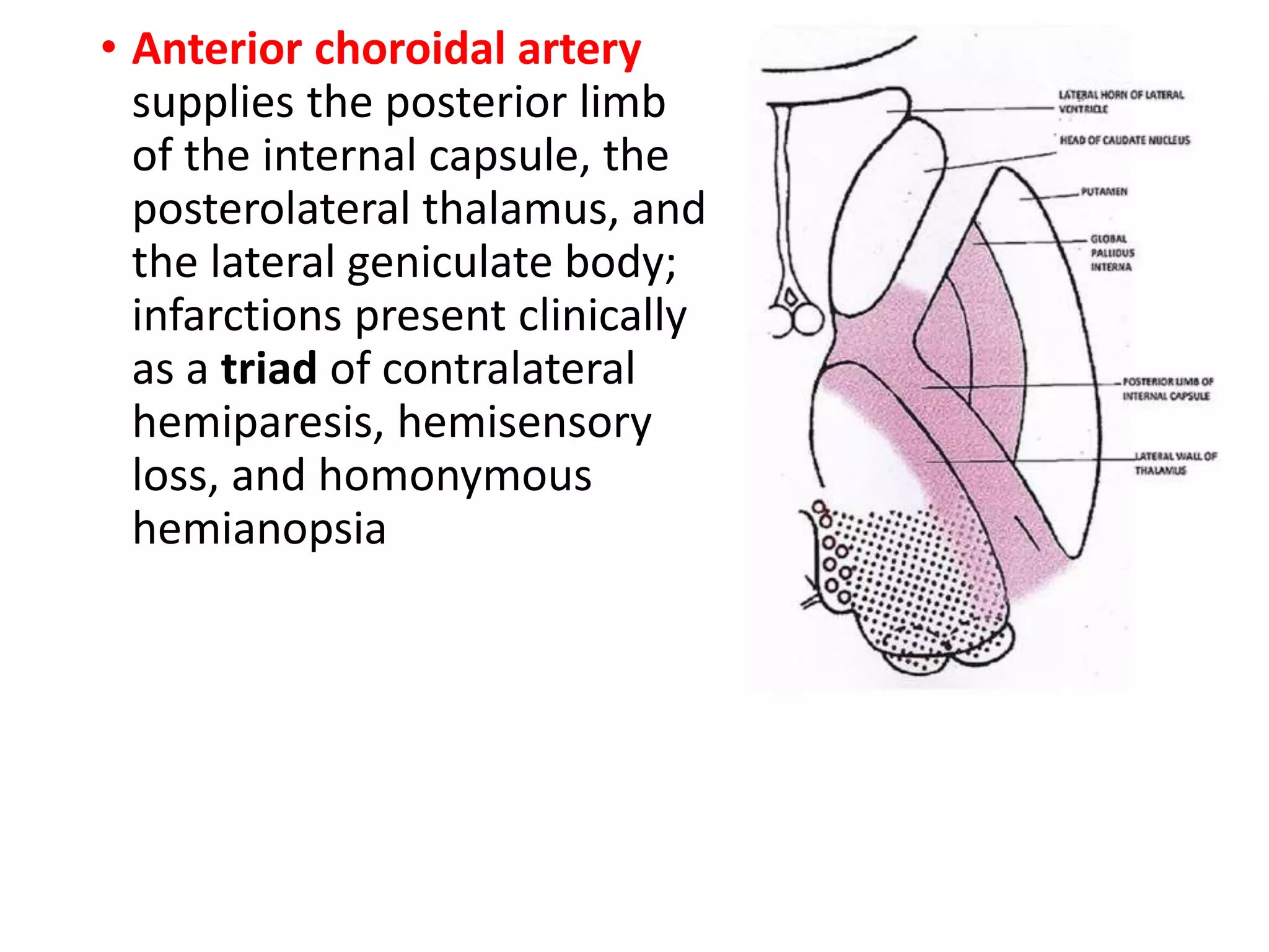 Carotid Occlusive Disease.pptx