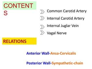 CAROTID SHEATH-WPS Office.pptx