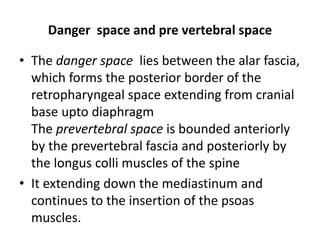 Carotid space tumour final.ppt