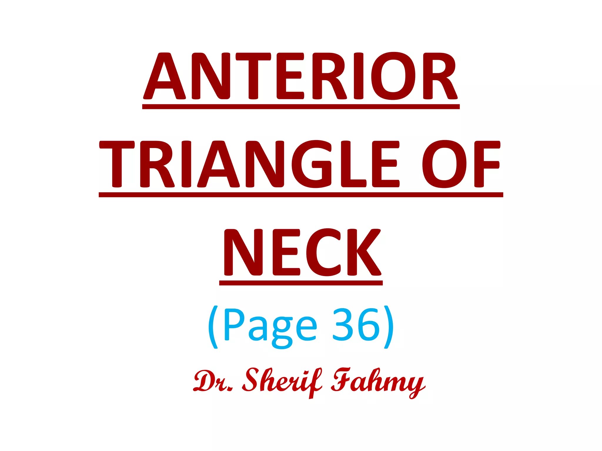Carotid Triangle (Anatomy of the Neck) | PPS