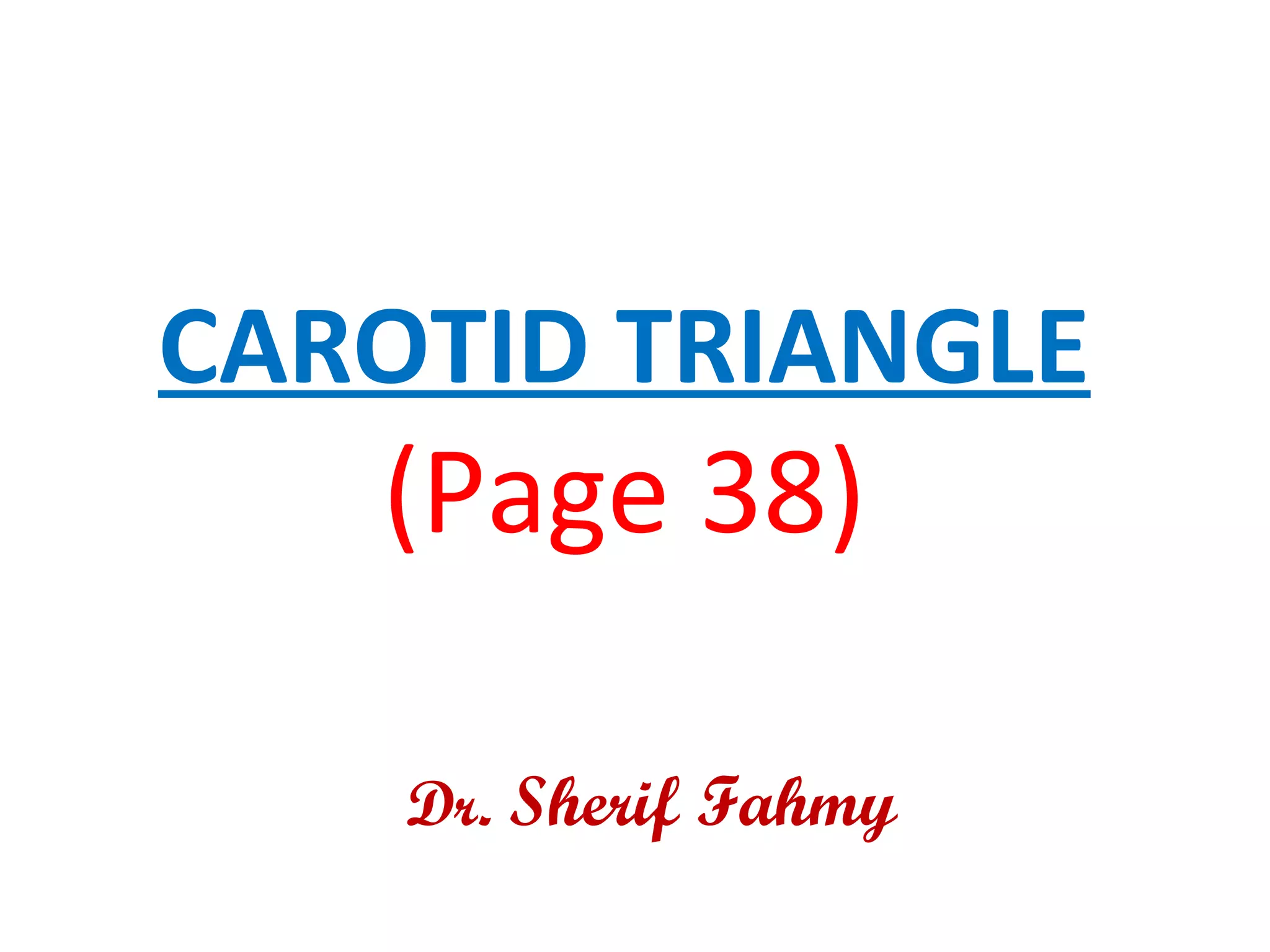 Carotid Triangle (Anatomy of the Neck) | PPS