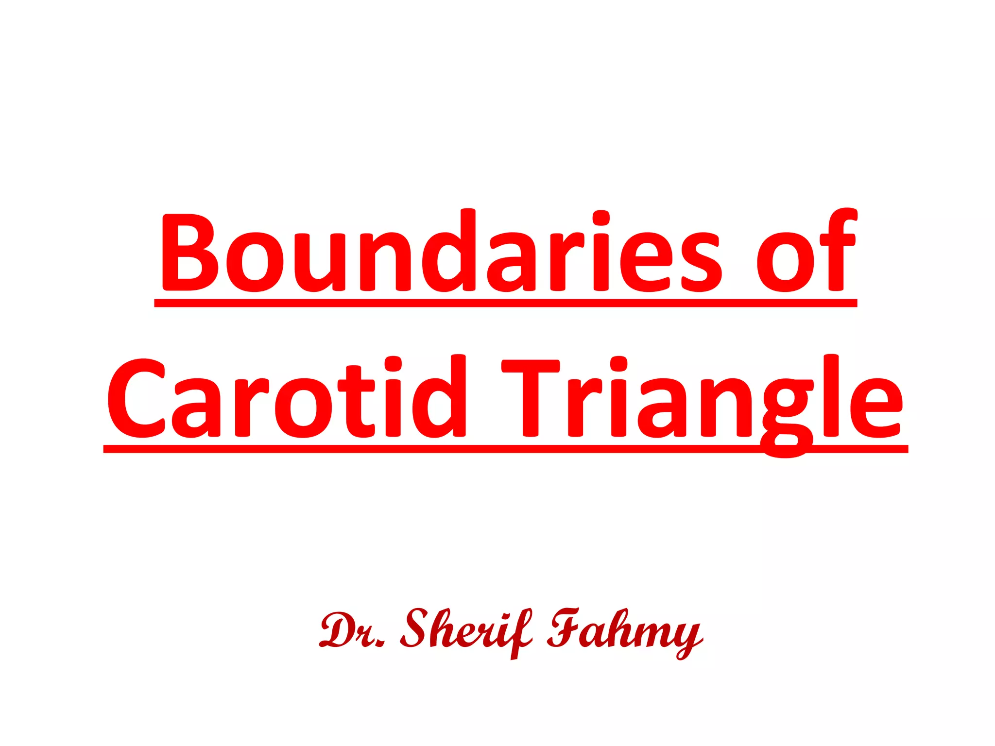 Carotid Triangle (Anatomy of the Neck) | PPS