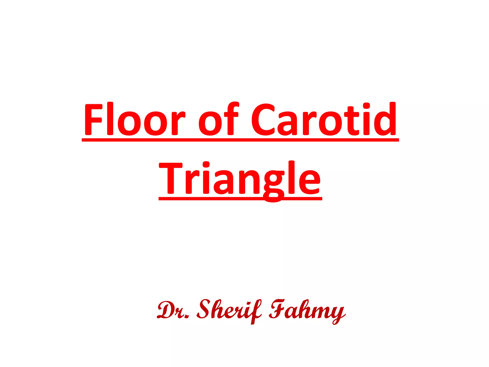 Carotid Triangle (Anatomy of the Neck) | PPS